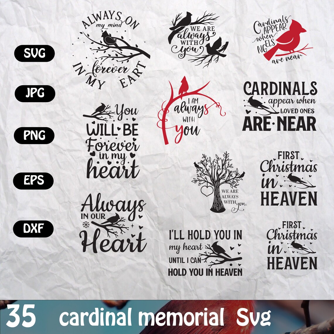 Cardinal Memorial Svg Bundlecardinal Memorial Svg Png I Am - Etsy