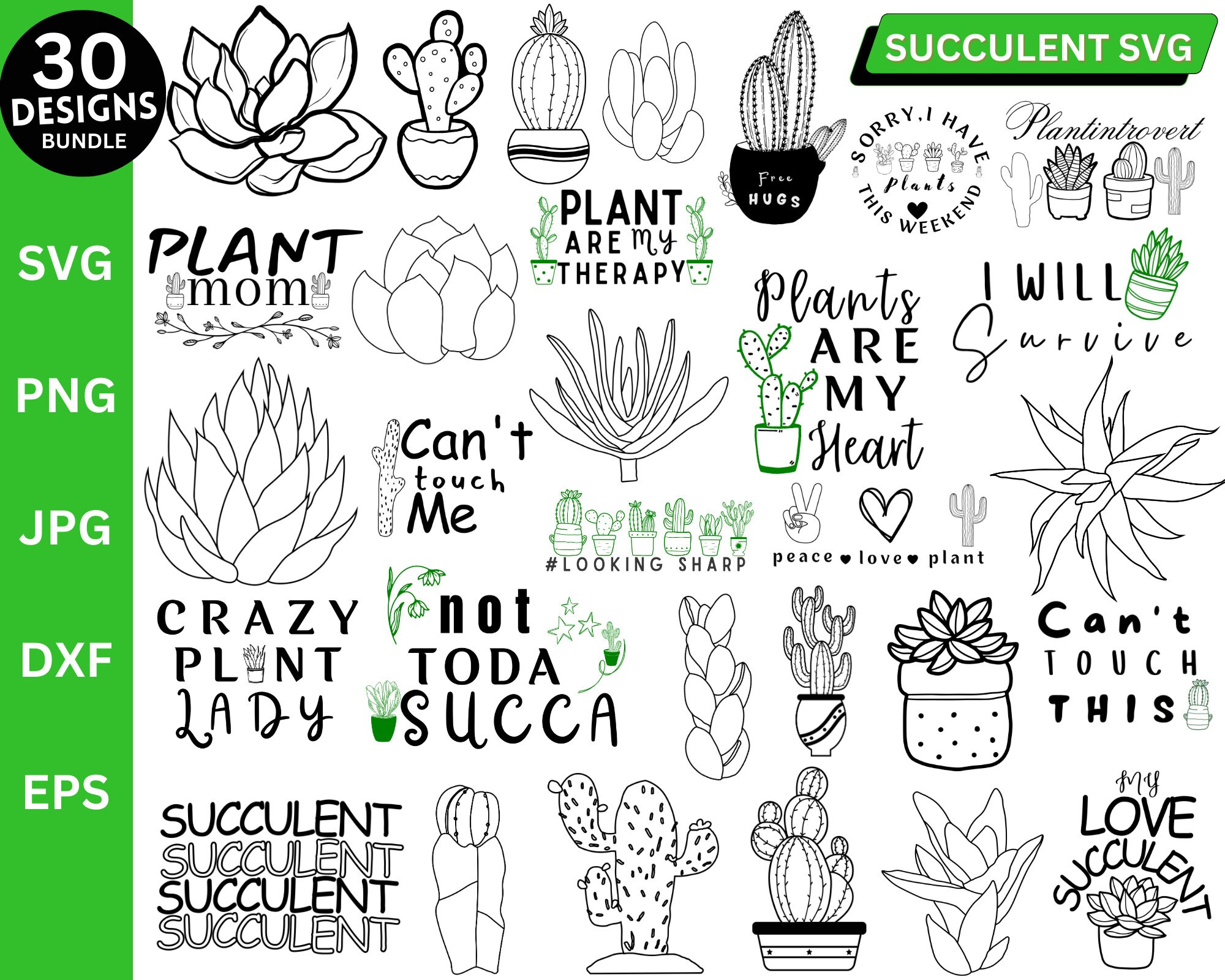 Succulent Svg Bundle, Cactus Svg, Succulents Svg, Plant Lady Svg ...