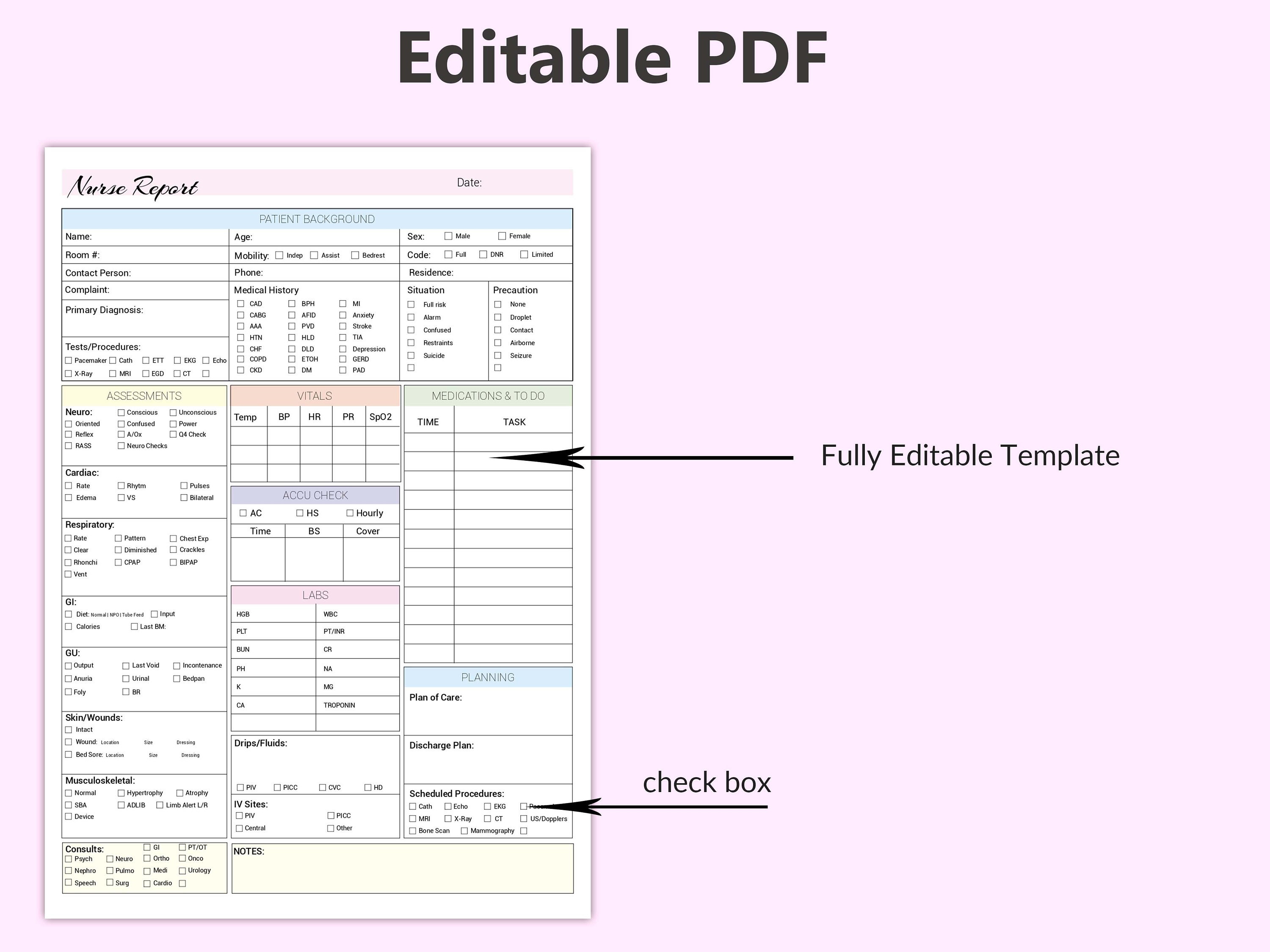 Editable Nursing Report Sheet, Nurse Brain Sheet, Printable Nurse ...