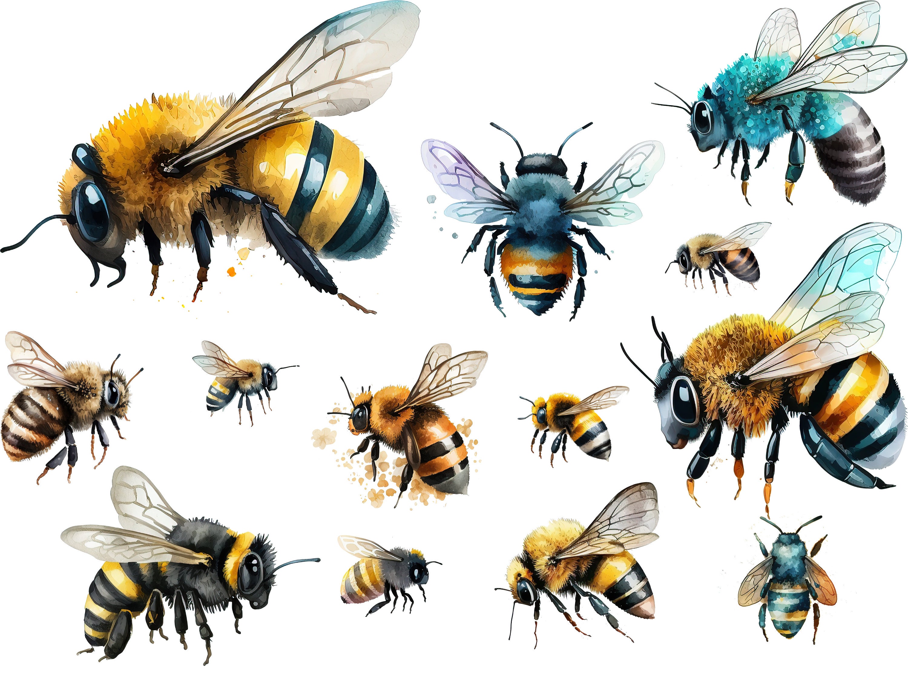 36 Watercolor Bees, Bee Clipart, Summer Clipart, Instant Download, PNG ...