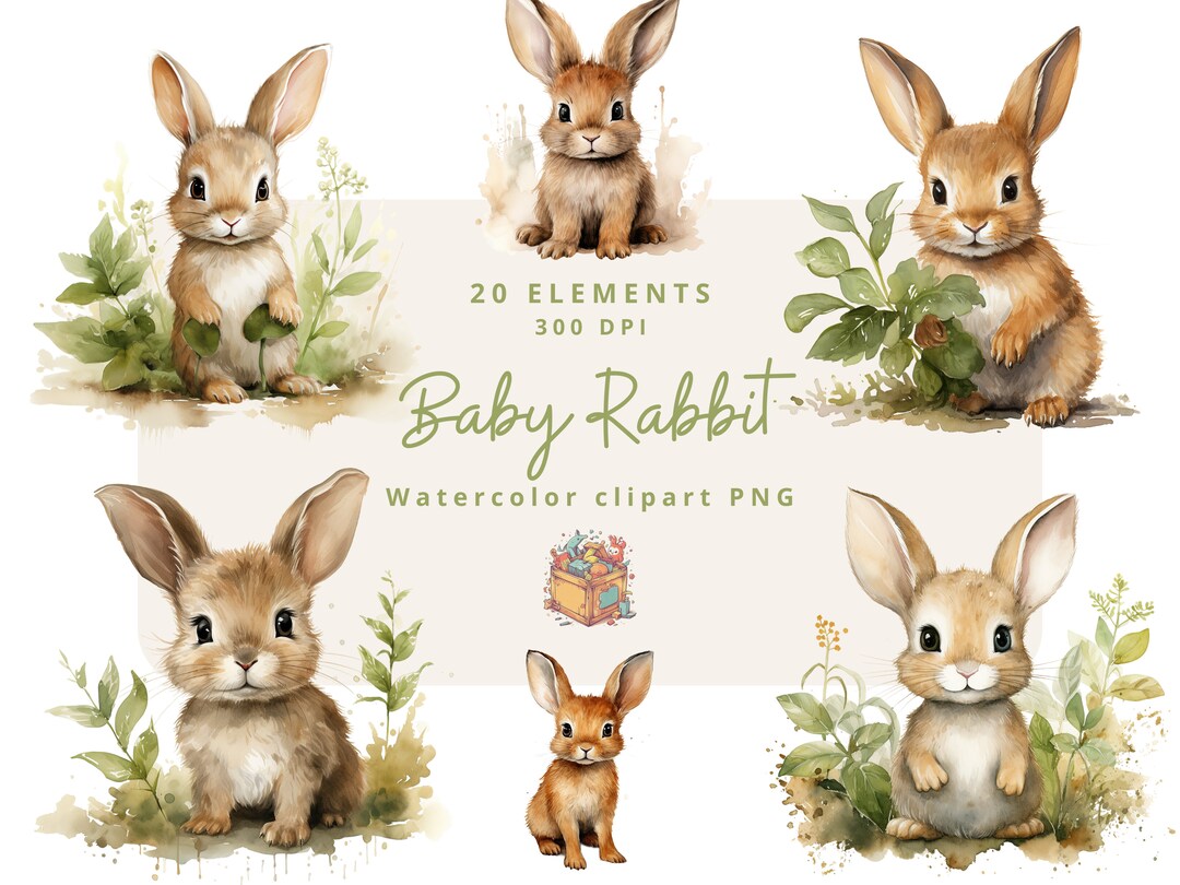 20 Cute Baby Rabbit Watercolor Clipart, Cute Rabbit Baby Shower ...