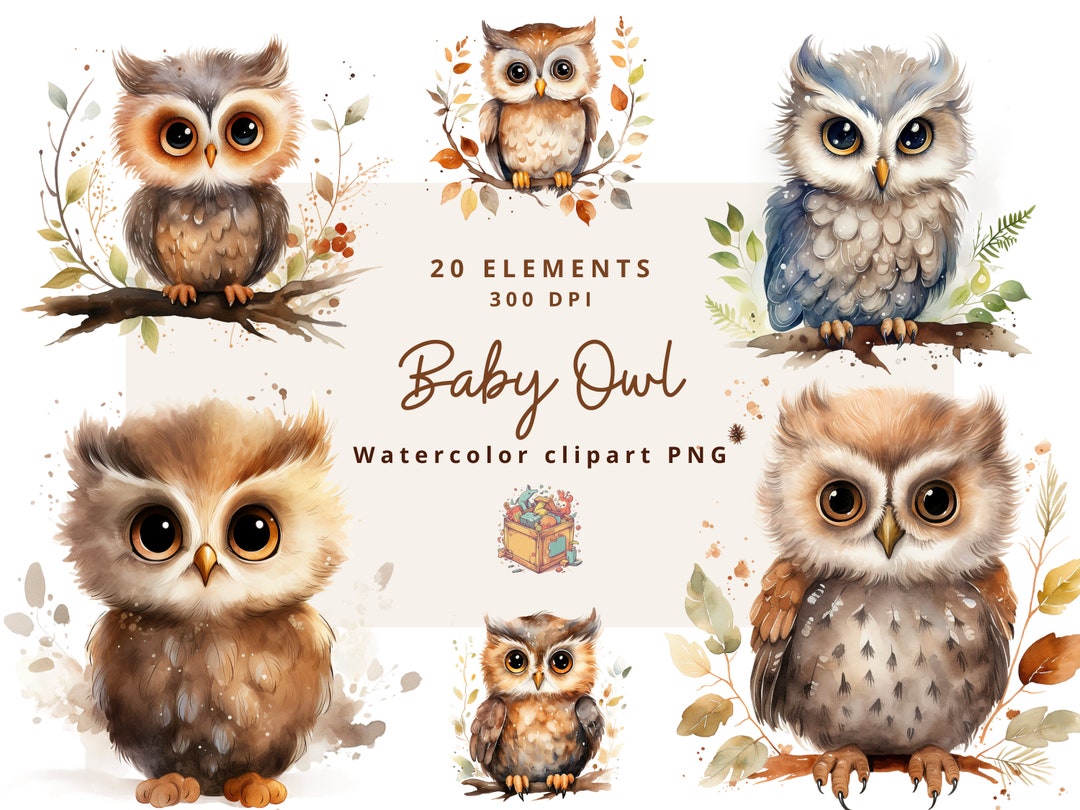 20 Baby Owl Watercolor Clipart, Cute Owl Baby Shower Graphics, Owl ...