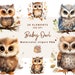 20 Baby Owl Watercolor Clipart, Cute Owl Baby Shower Graphics, Owl ...