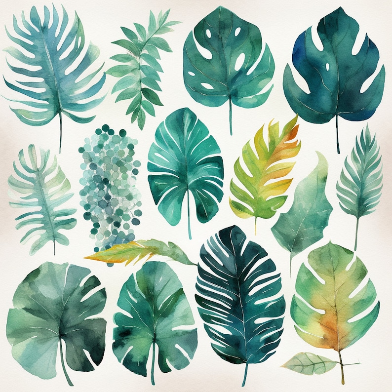 70 Watercolor Tropical Leaves Clipart, Monstera Leaves Clipart ...