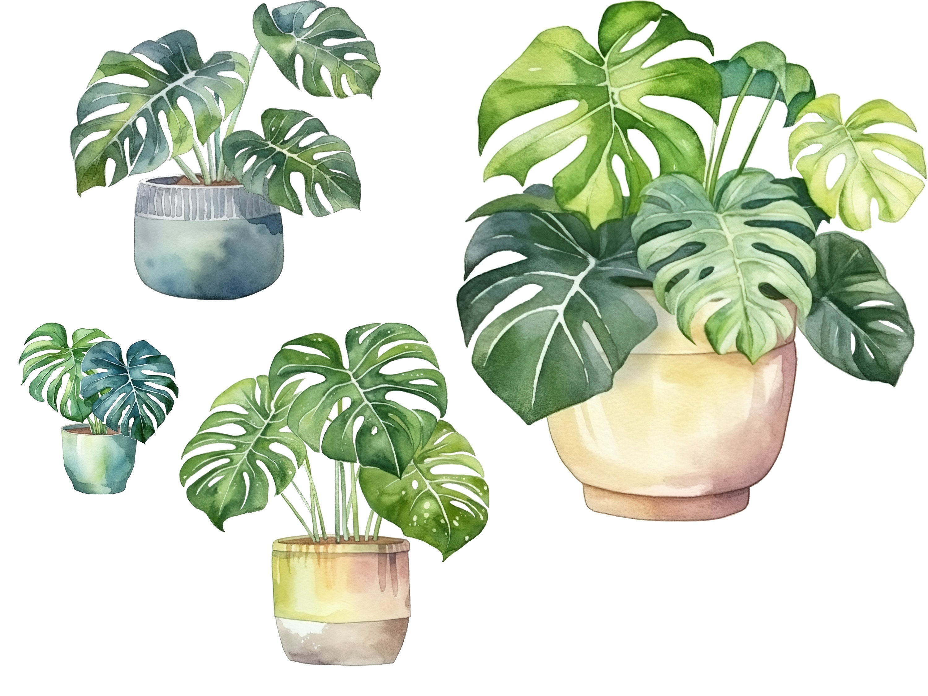 20 Watercolor Tropical Pots Clipart, Monstera Pots Clipart, Tropical ...