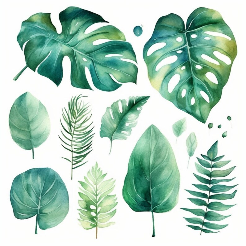 70 Watercolor Tropical Leaves Clipart, Monstera Leaves Clipart ...