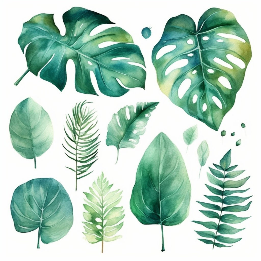 70 Watercolor Tropical Leaves Clipart, Monstera Leaves Clipart ...