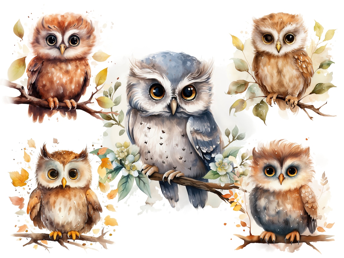 20 Baby Owl Watercolor Clipart, Cute Owl Baby Shower Graphics, Owl ...