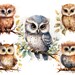 20 Baby Owl Watercolor Clipart, Cute Owl Baby Shower Graphics, Owl ...