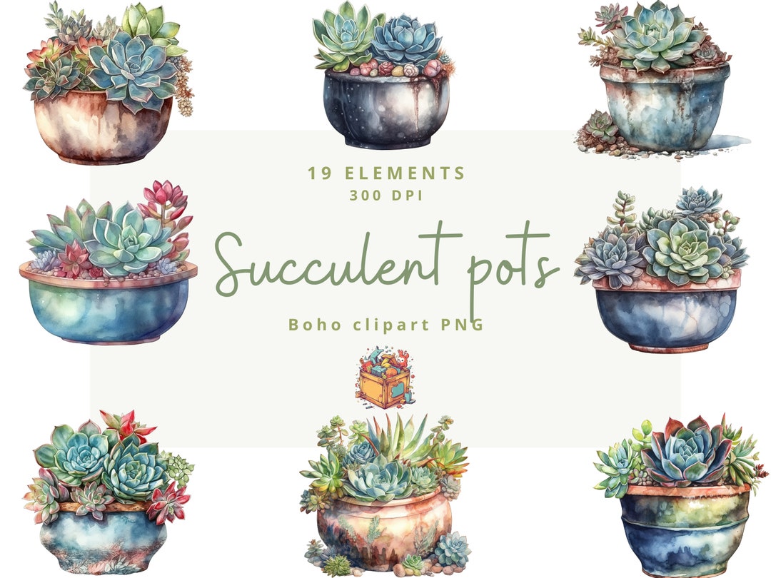 19 Watercolor Succulent Pots Clipart, Succulents Pot Clipart, Tropical ...