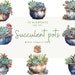 19 Watercolor Succulent Pots Clipart Succulents Pot Clipart - Etsy