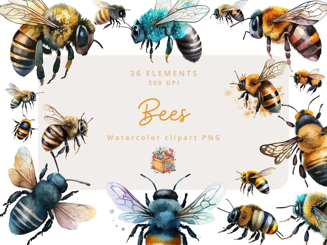 36 Watercolor Bees, Bee Clipart, Summer Clipart, Instant Download, PNG ...