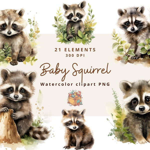 Raccoon Clipart - Etsy