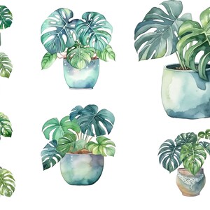 20 Watercolor Tropical Pots Clipart, Monstera Pots Clipart, Tropical ...