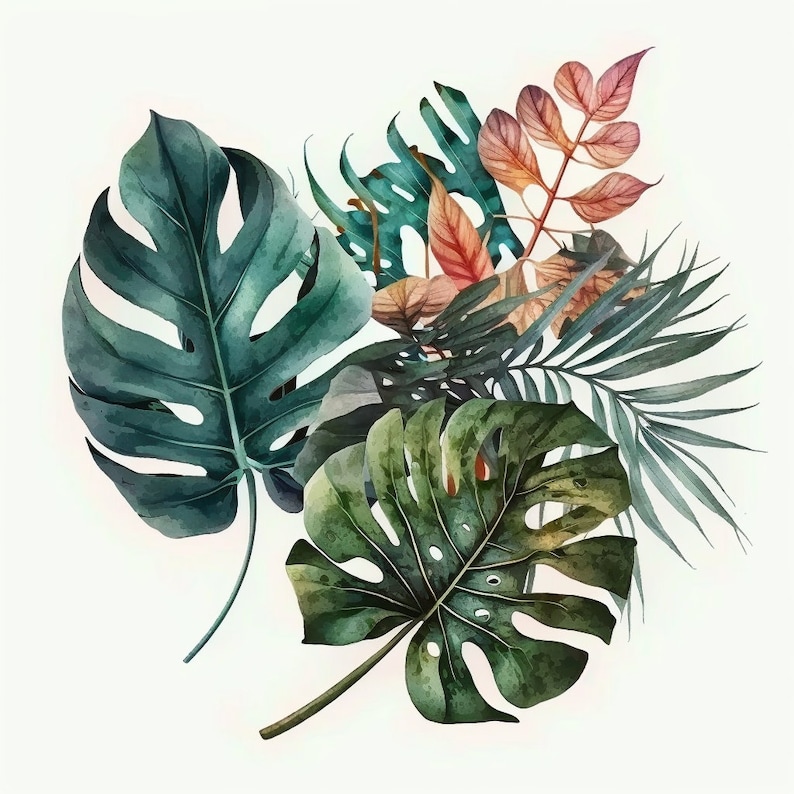70 Watercolor Tropical Leaves Clipart, Monstera Leaves Clipart ...