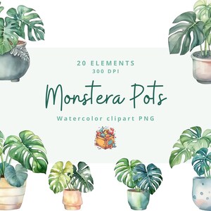 20 Watercolor Tropical Pots Clipart, Monstera Pots Clipart, Tropical ...