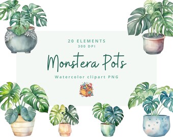 70 Watercolor Tropical Leaves Clipart, Monstera Leaves Clipart ...