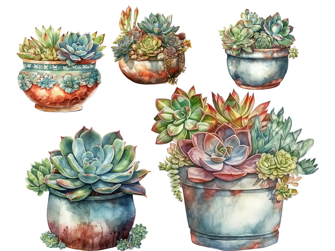 19 Watercolor Succulent Pots Clipart, Succulents Pot Clipart, Tropical ...