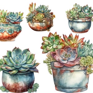 19 Watercolor Succulent Pots Clipart, Succulents Pot Clipart, Tropical ...