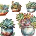 19 Watercolor Succulent Pots Clipart, Succulents Pot Clipart, Tropical ...