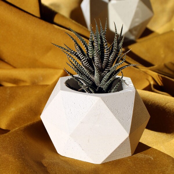 Hexagon Plant Pot - Etsy UK