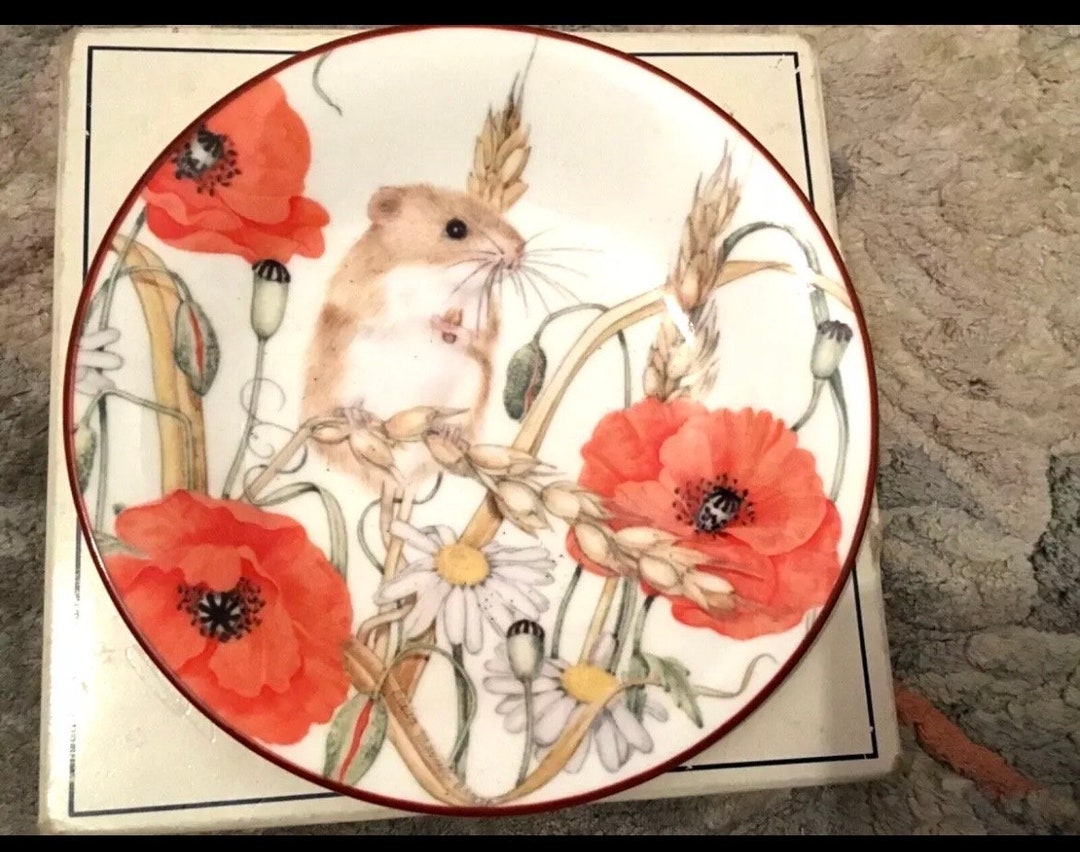 Royal Kendal Field Mouse in Field English Bone China Pin Dish Plate - Etsy