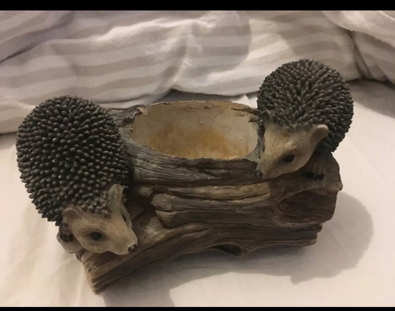 Hedgehogs Garden Small Planter Pot - Etsy