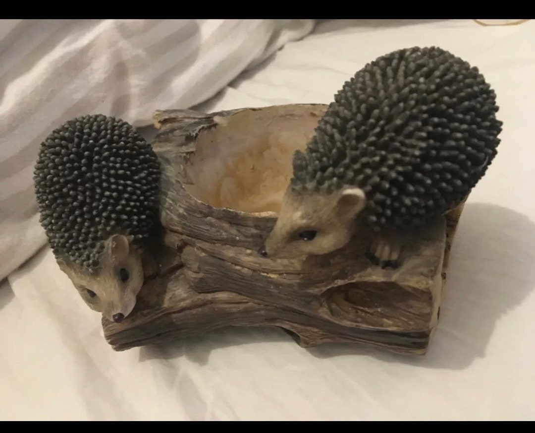 Hedgehogs Garden Small Planter Pot - Etsy