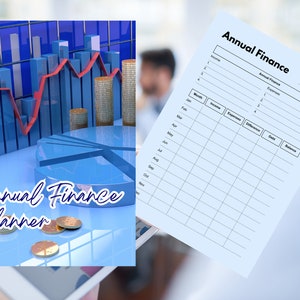 Finance Binder Plusfinance Plannerfinancial Binderbudget - Etsy