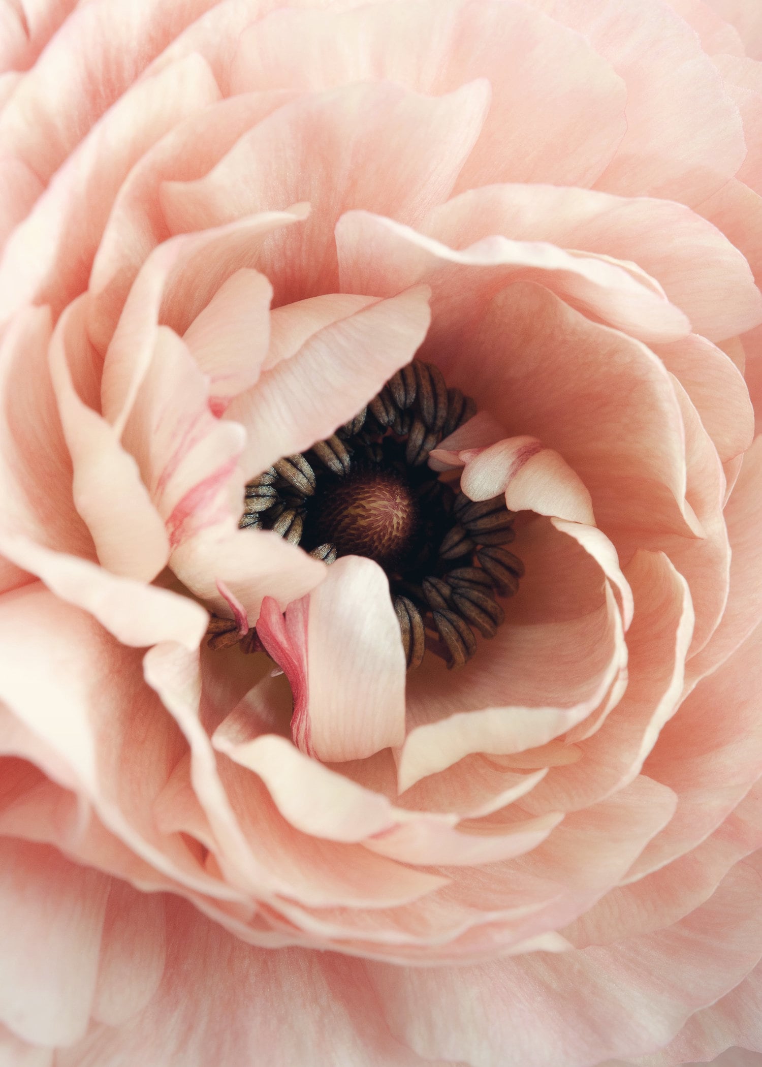 Digital Pdf Wall Art for Tween or Teen Girls Inspirational Quotes ...