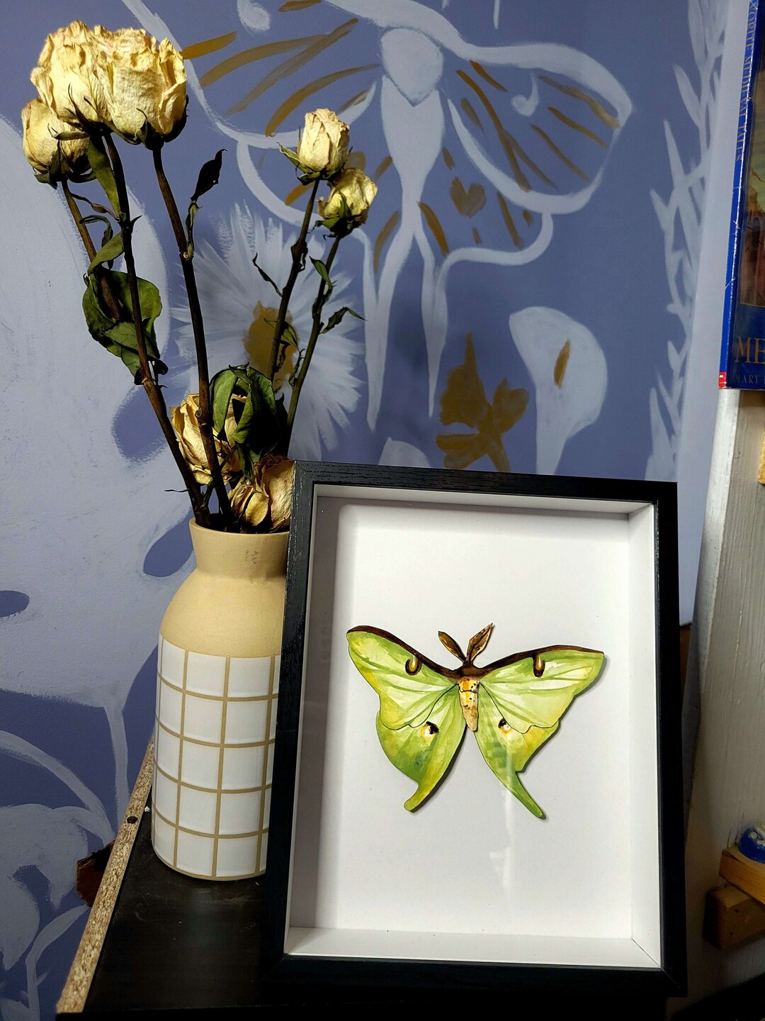Faux Taxidermy - Luna Moth (pinned Bug Decor, Ethical Alternative to ...