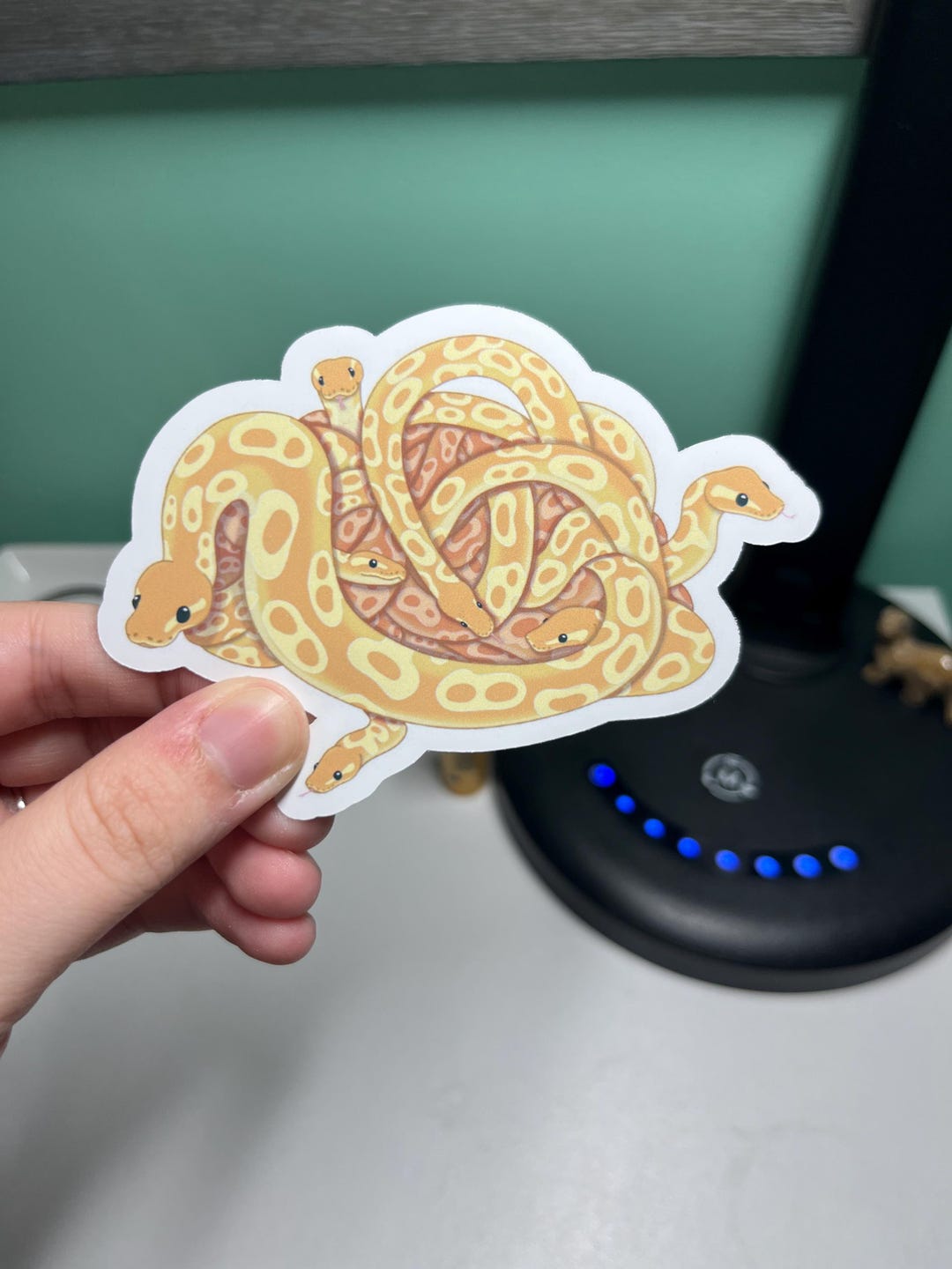 Banana Pythons | Snake Sticker | Holographic - Etsy