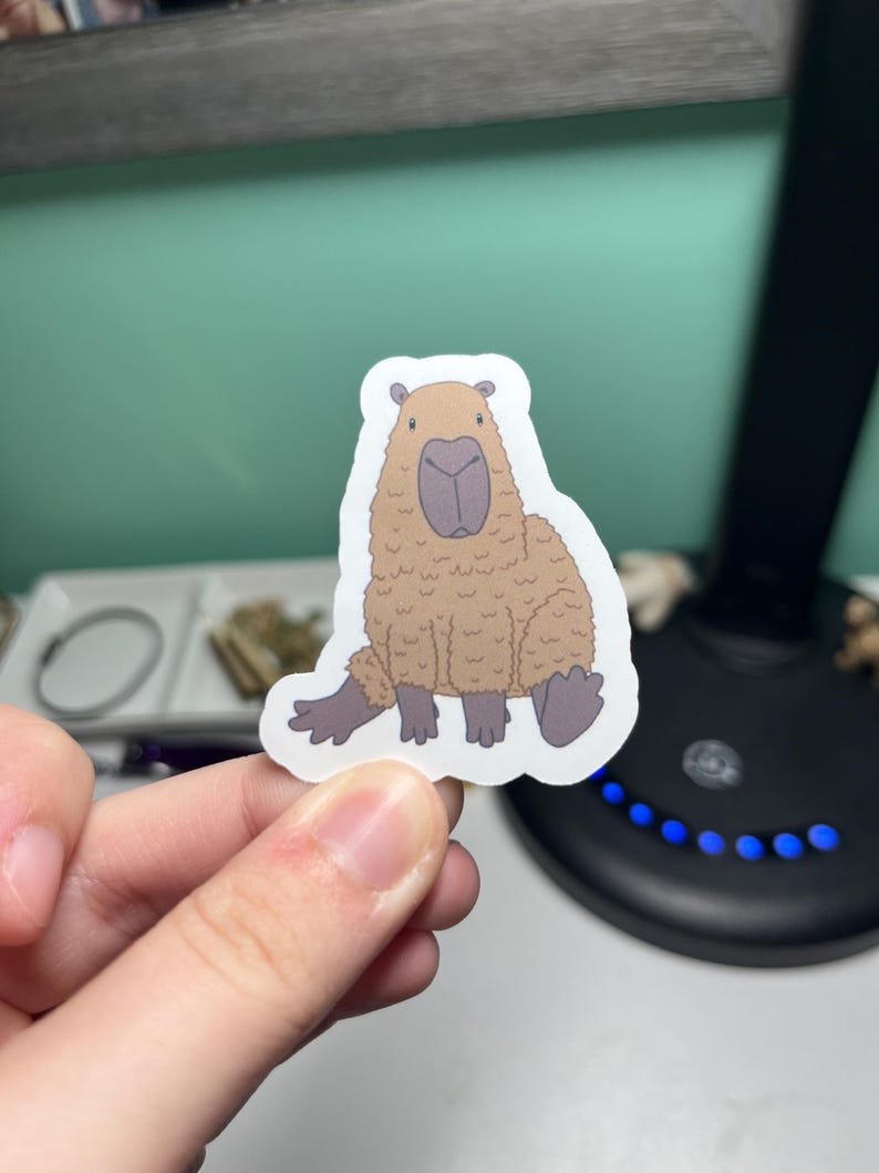 Cap Bear | Capybara Sticker - Etsy