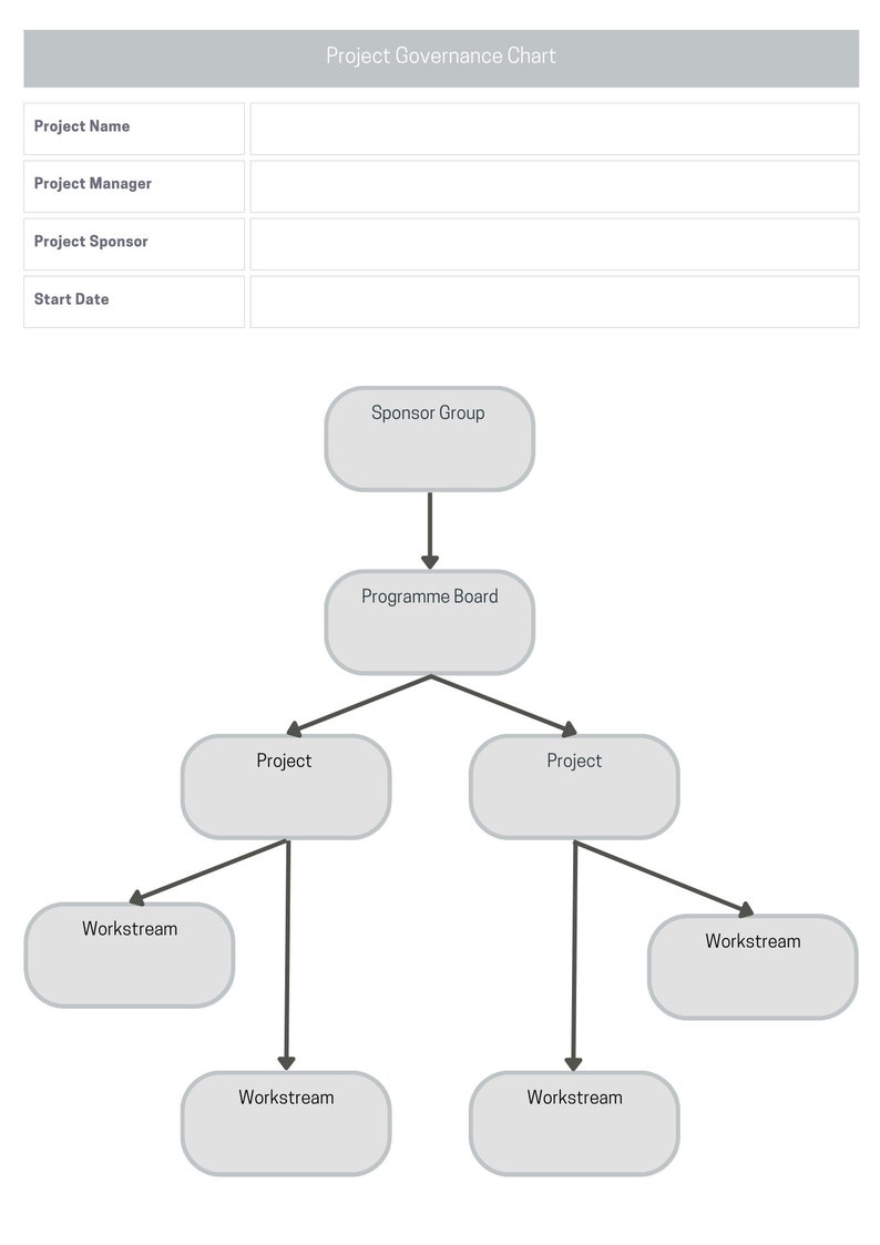 Project Governance Checklist Project Governance Chart - Etsy