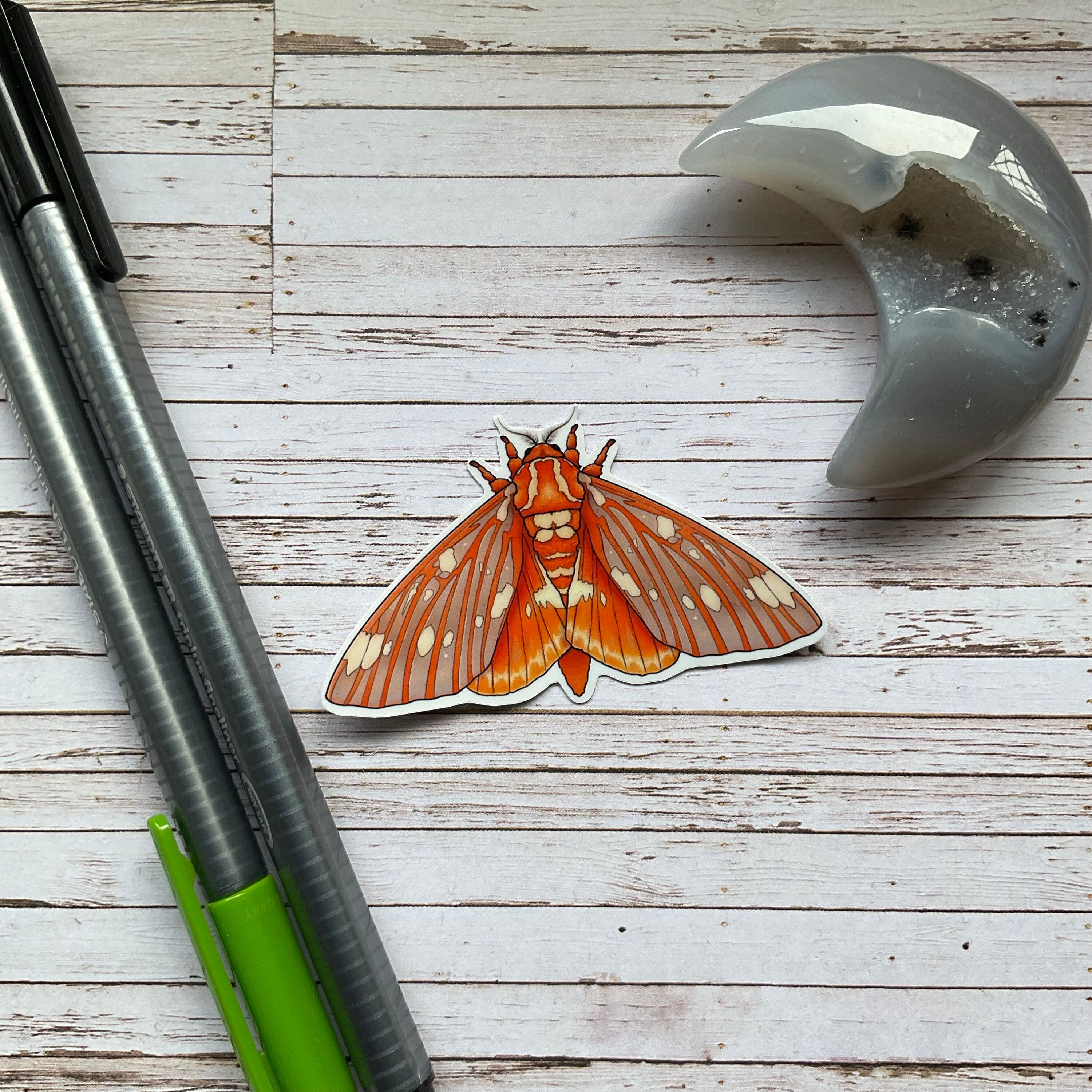 Regal Royal Walnut Moth Sticker - Etsy