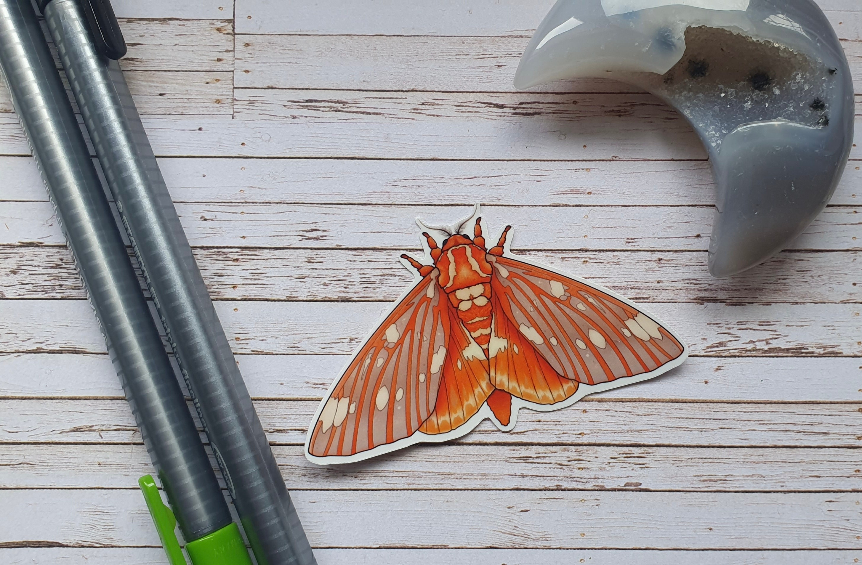 Regal Royal Walnut Moth Sticker - Etsy
