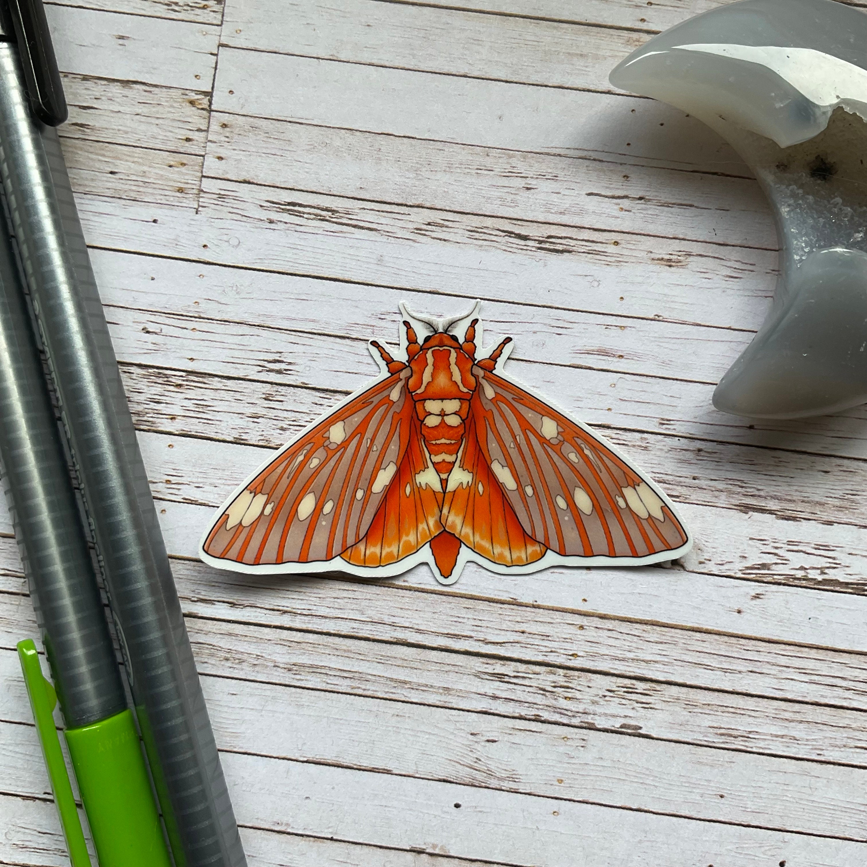 Regal Royal Walnut Moth Sticker - Etsy