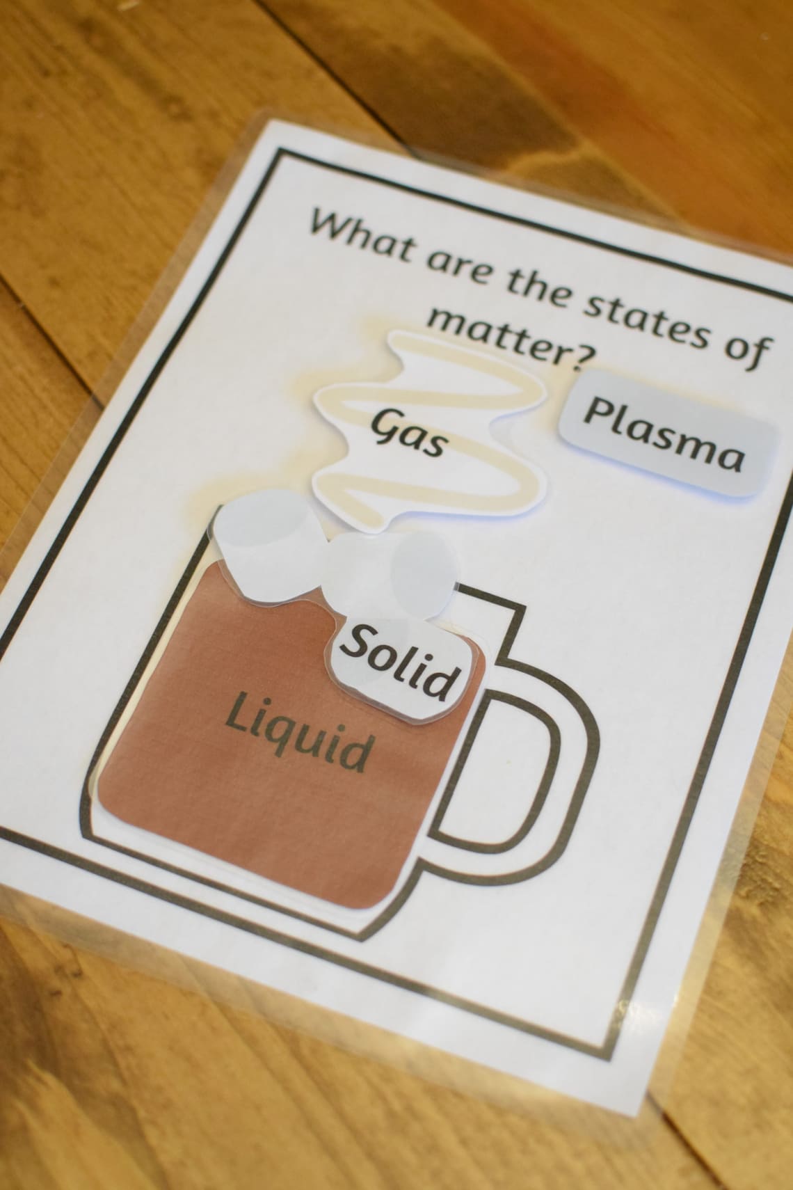 Science Printables Cycle 2 - Etsy