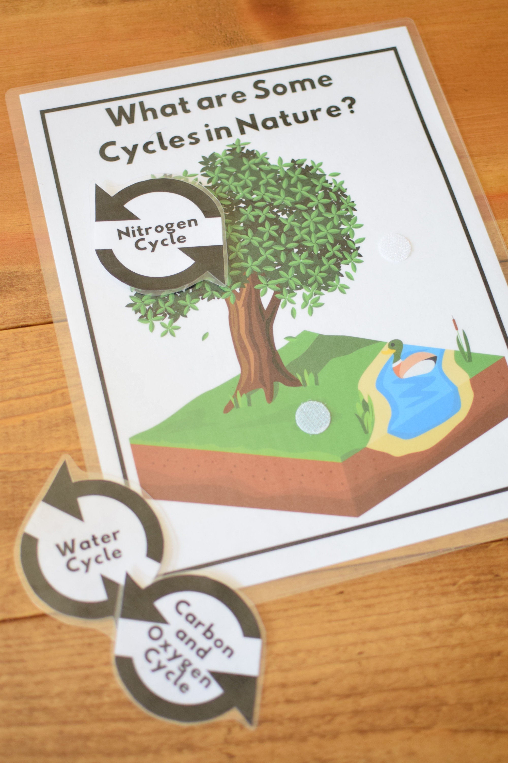 Science Printables Cycle 2 - Etsy
