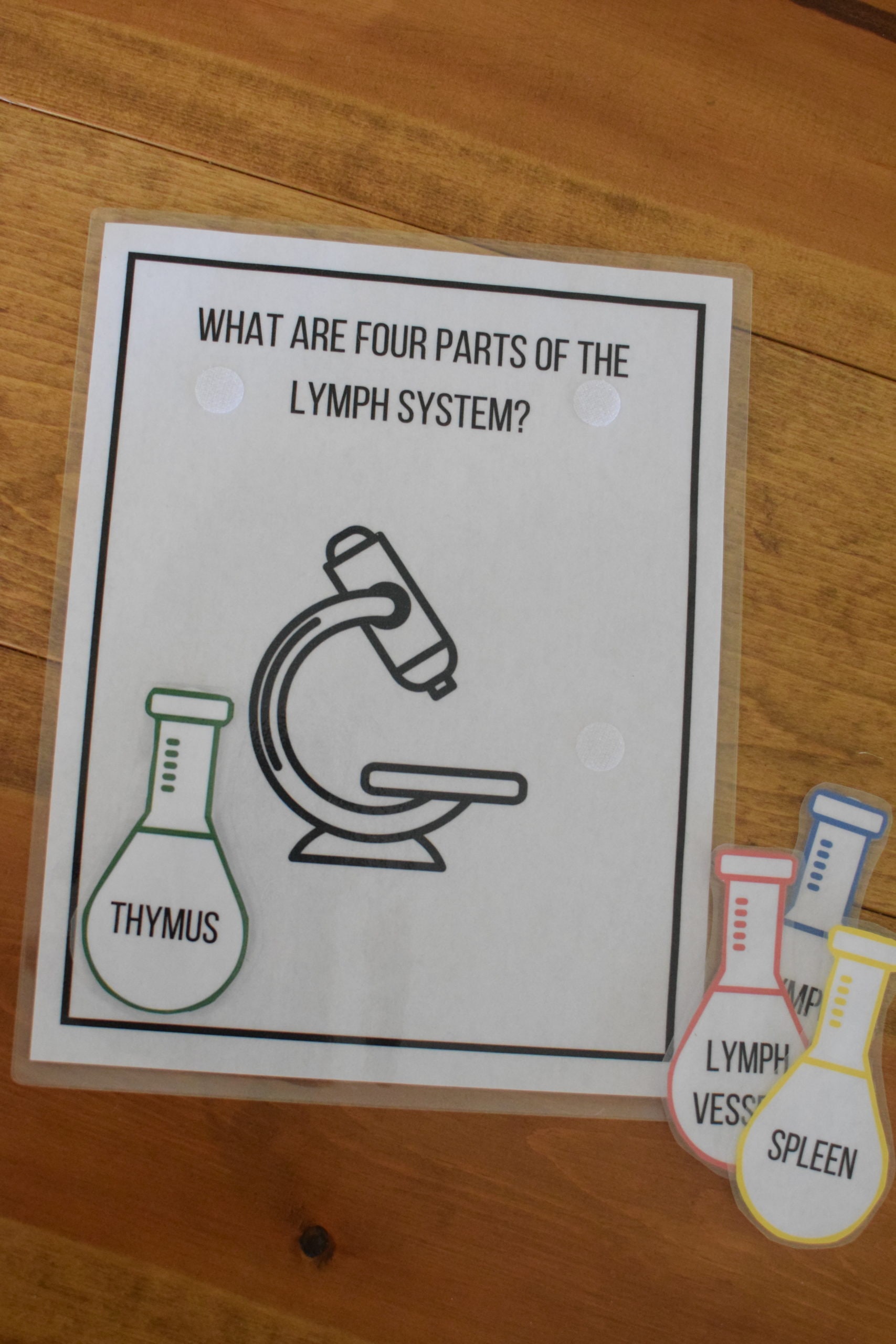 Science Printables Cycle 3 - Etsy