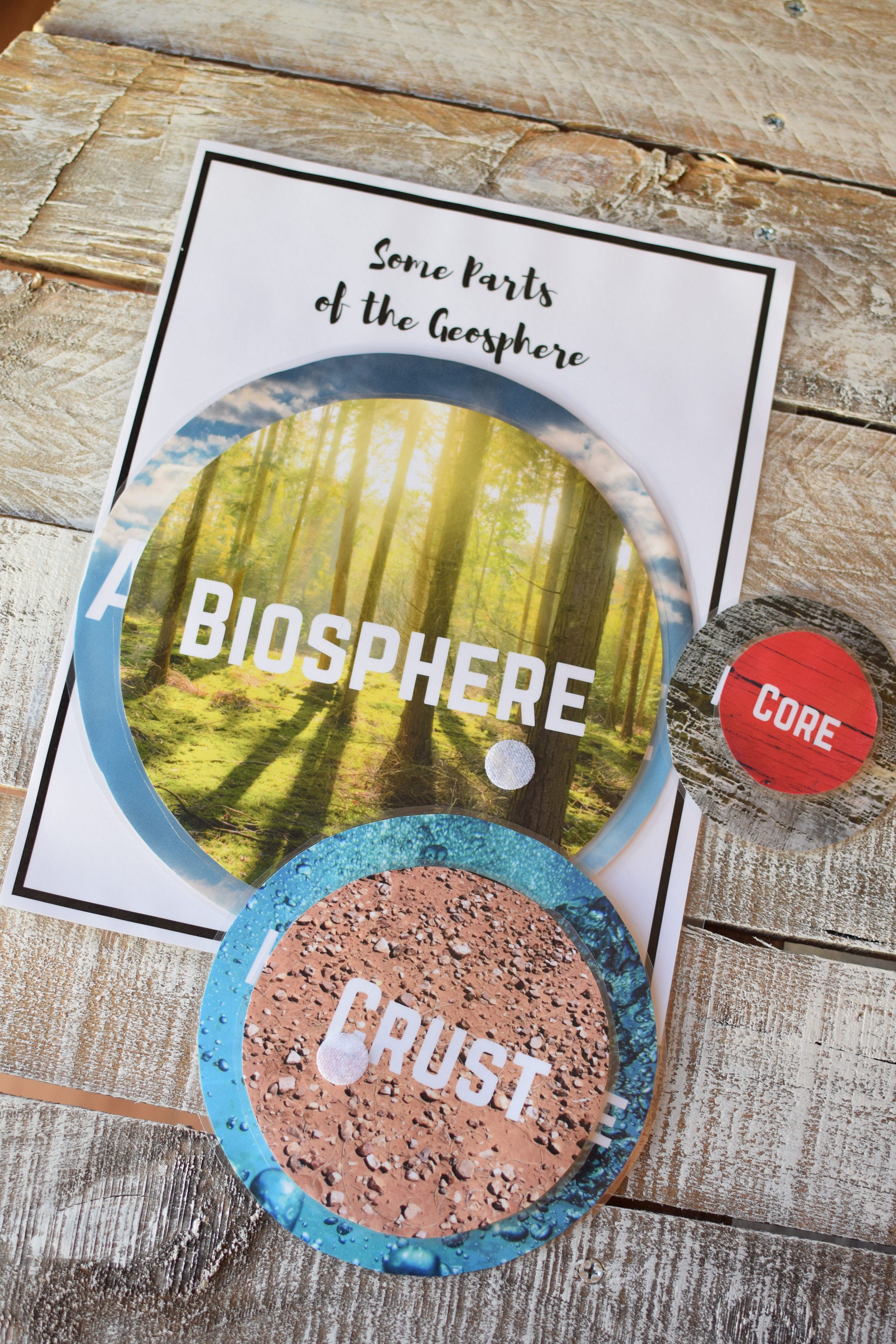 Science Printables Cycle 1 - Etsy