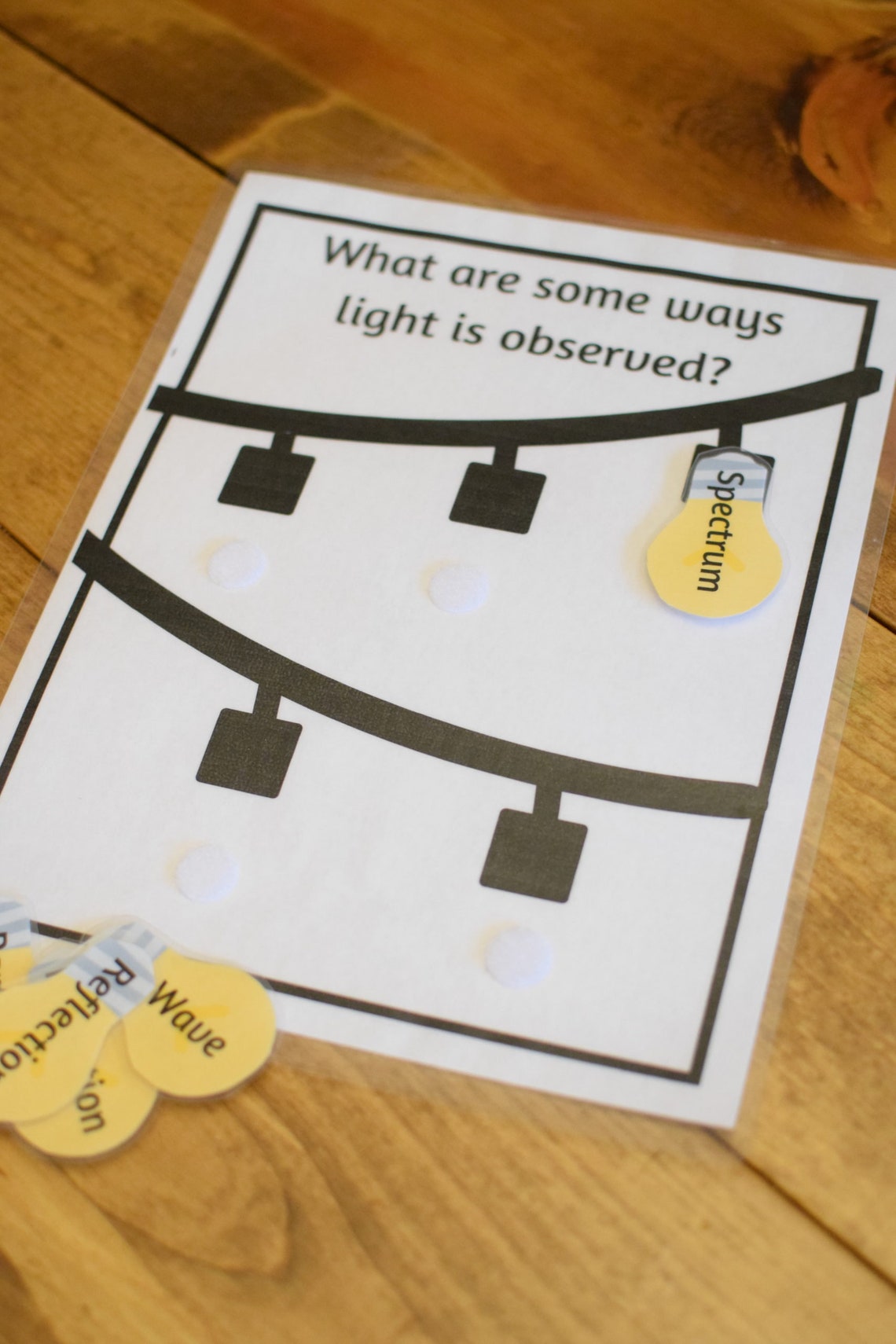 Science Printables Cycle 2 - Etsy