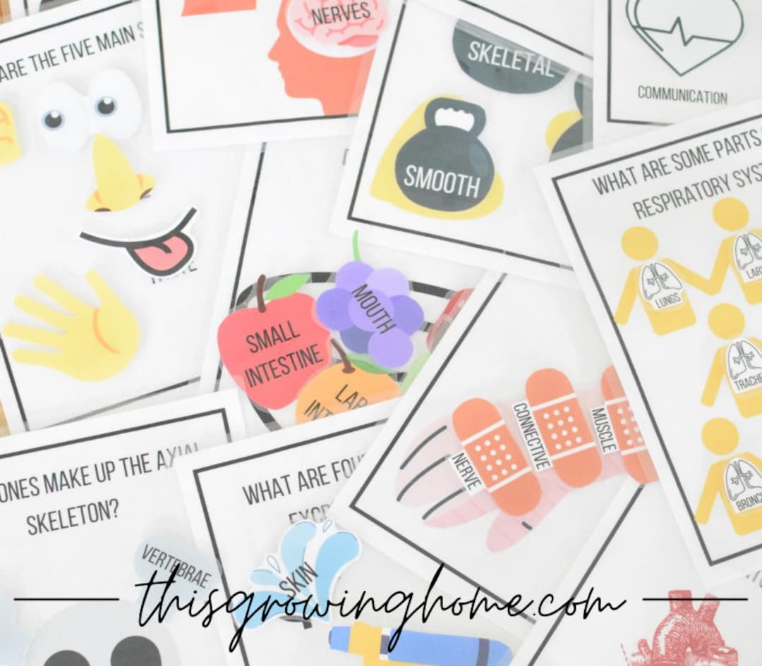 Science Printables Cycle 3 - Etsy