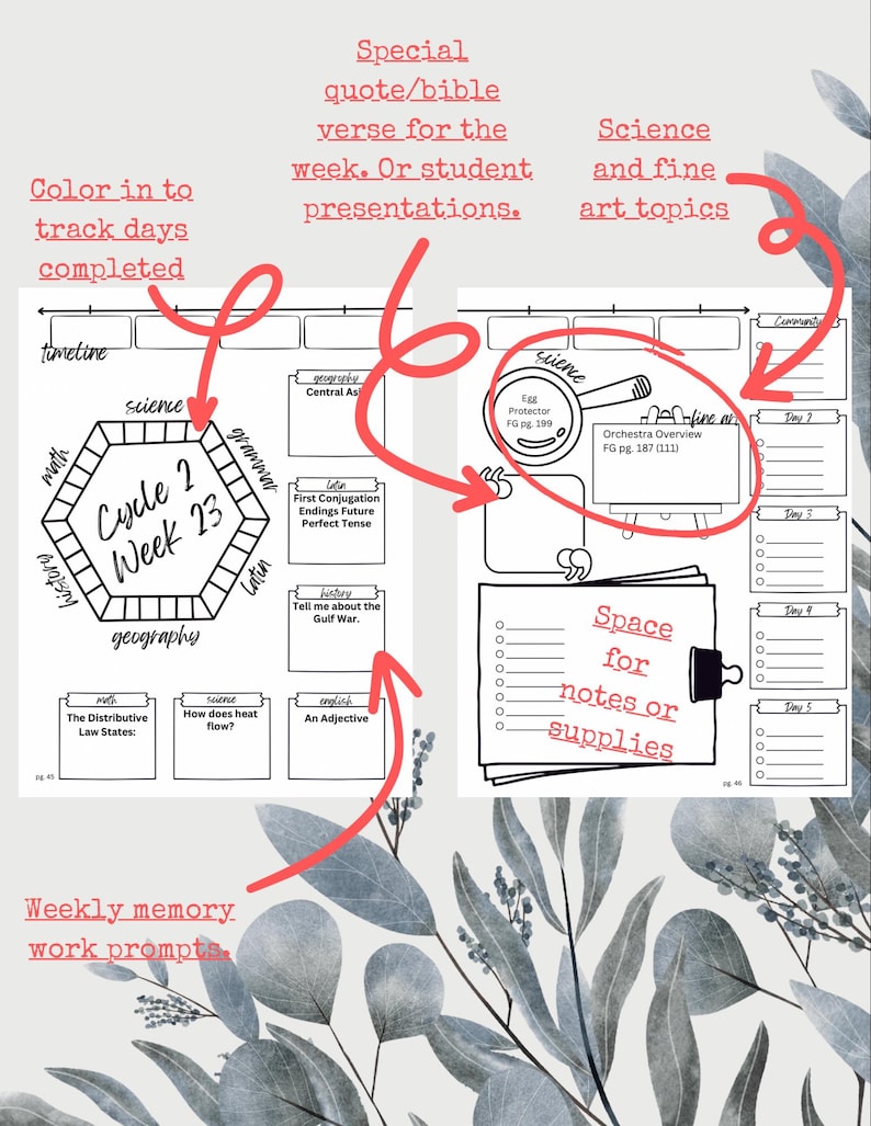 Weekly Planner Foundations Cycle 2 - Etsy