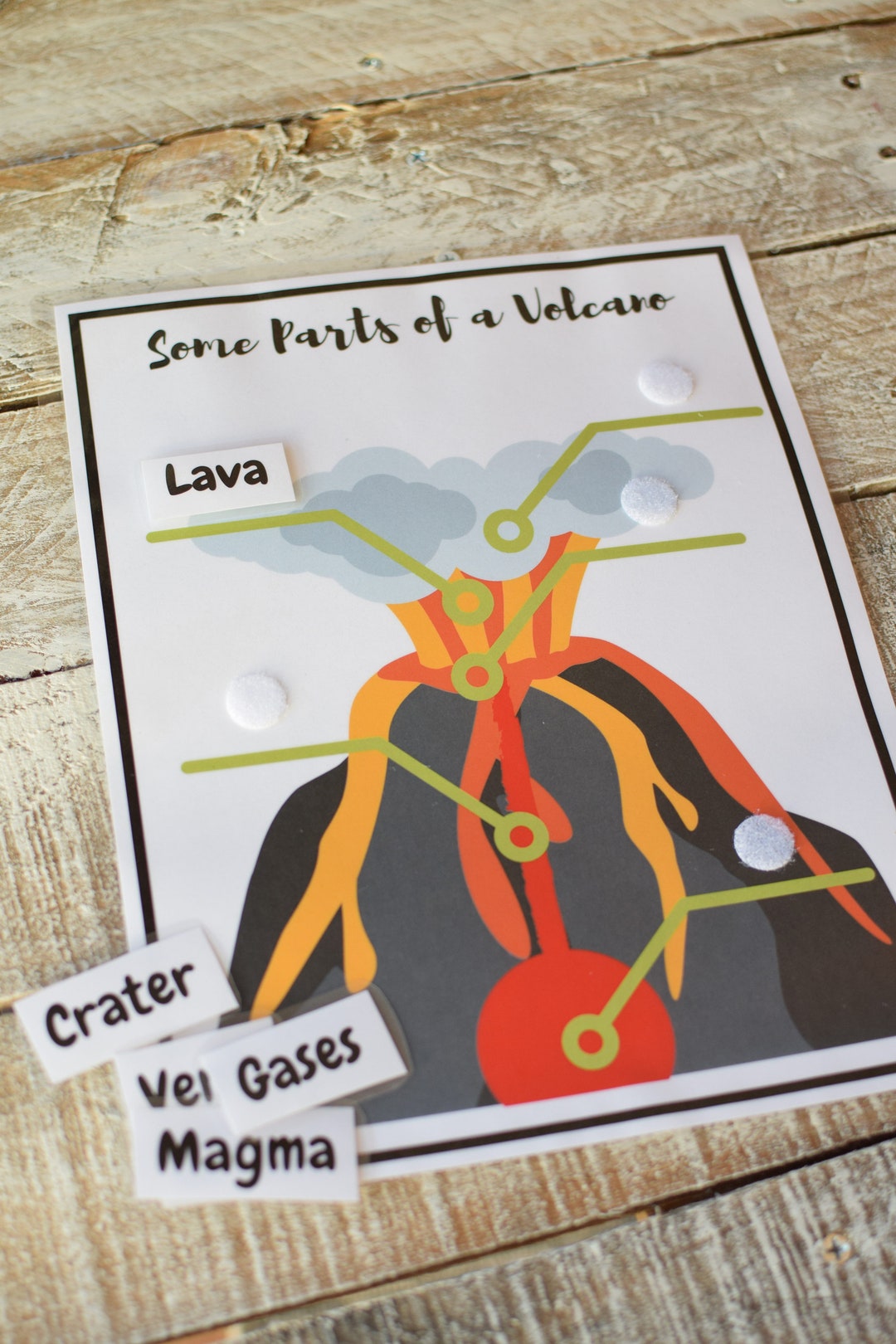 Science Printables Cycle 1 - Etsy