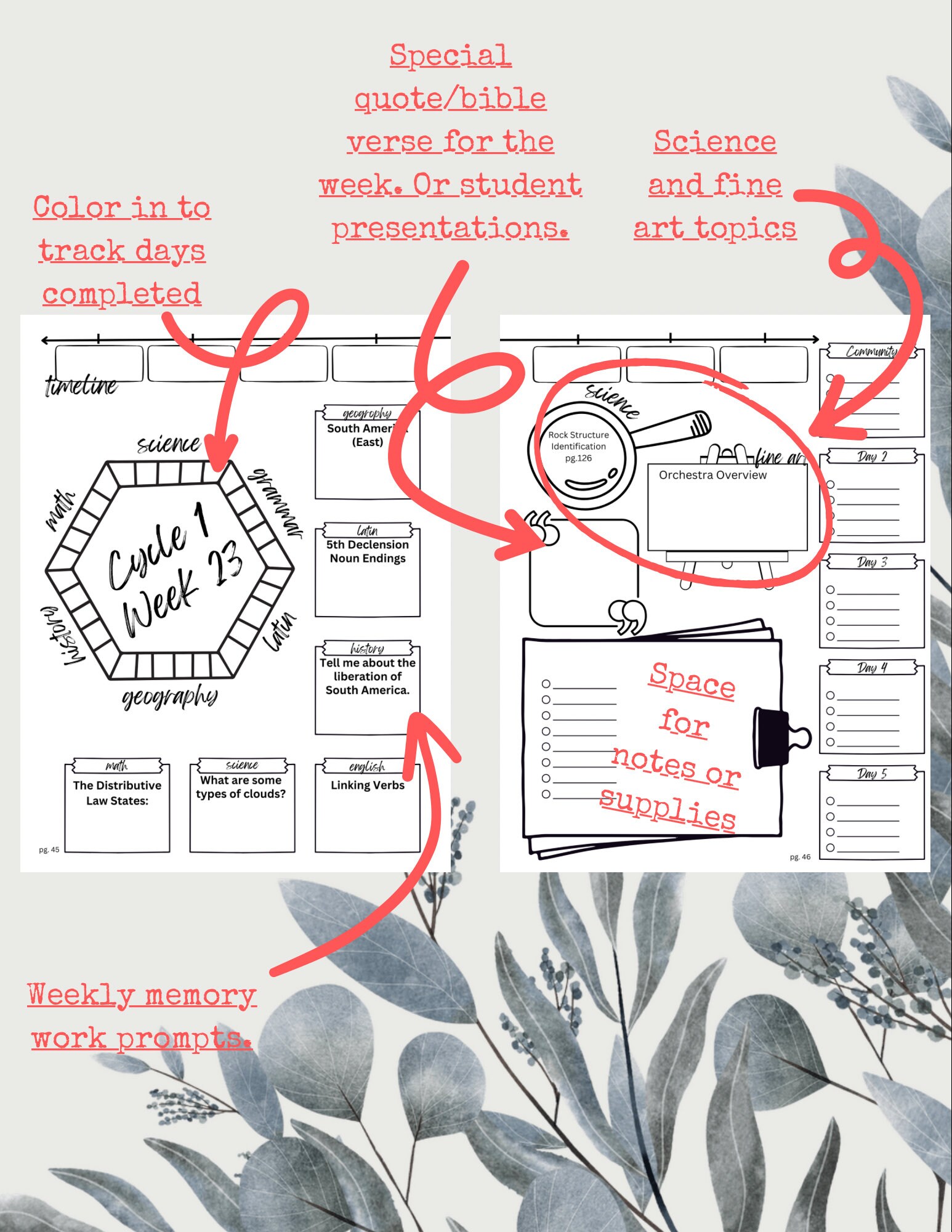 Weekly Planner Foundations Cycle 1 - Etsy