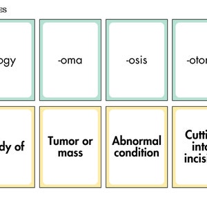 Medical Terminology Flashcards, Medical Terminology Prefixes, Suffixes ...