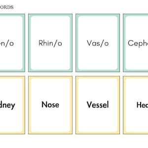 Medical Terminology Flashcards, Medical Terminology Prefixes, Suffixes ...