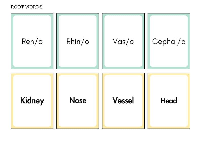 Medical Terminology Flashcards, Medical Terminology Prefixes, Suffixes ... Medical Terminology Flashcards, Medical Terminology Prefixes, Suffixes ...
