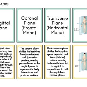 Medical Terminology Flashcards, Medical Terminology Prefixes, Suffixes ...